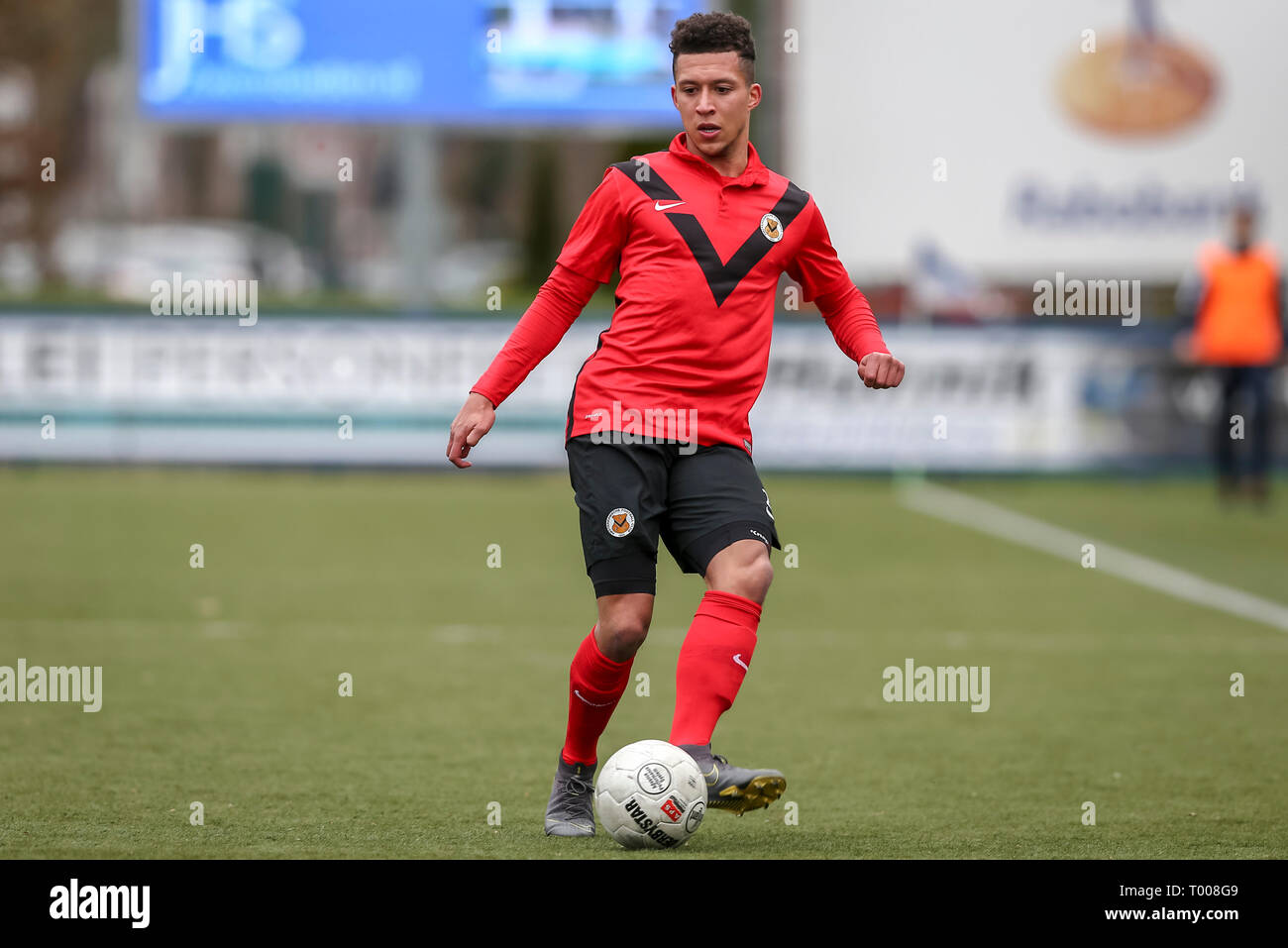 Ijsselmeervogels hi-res stock photography and images - Alamy