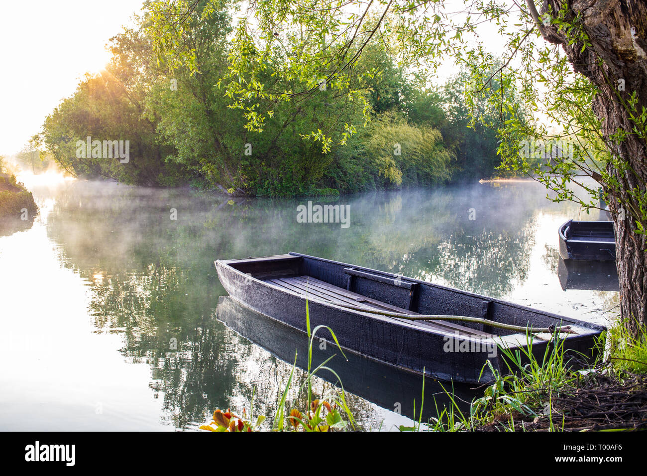Marshes in Bourges, Berry province, Centre-Val de Loire, France Stock ...