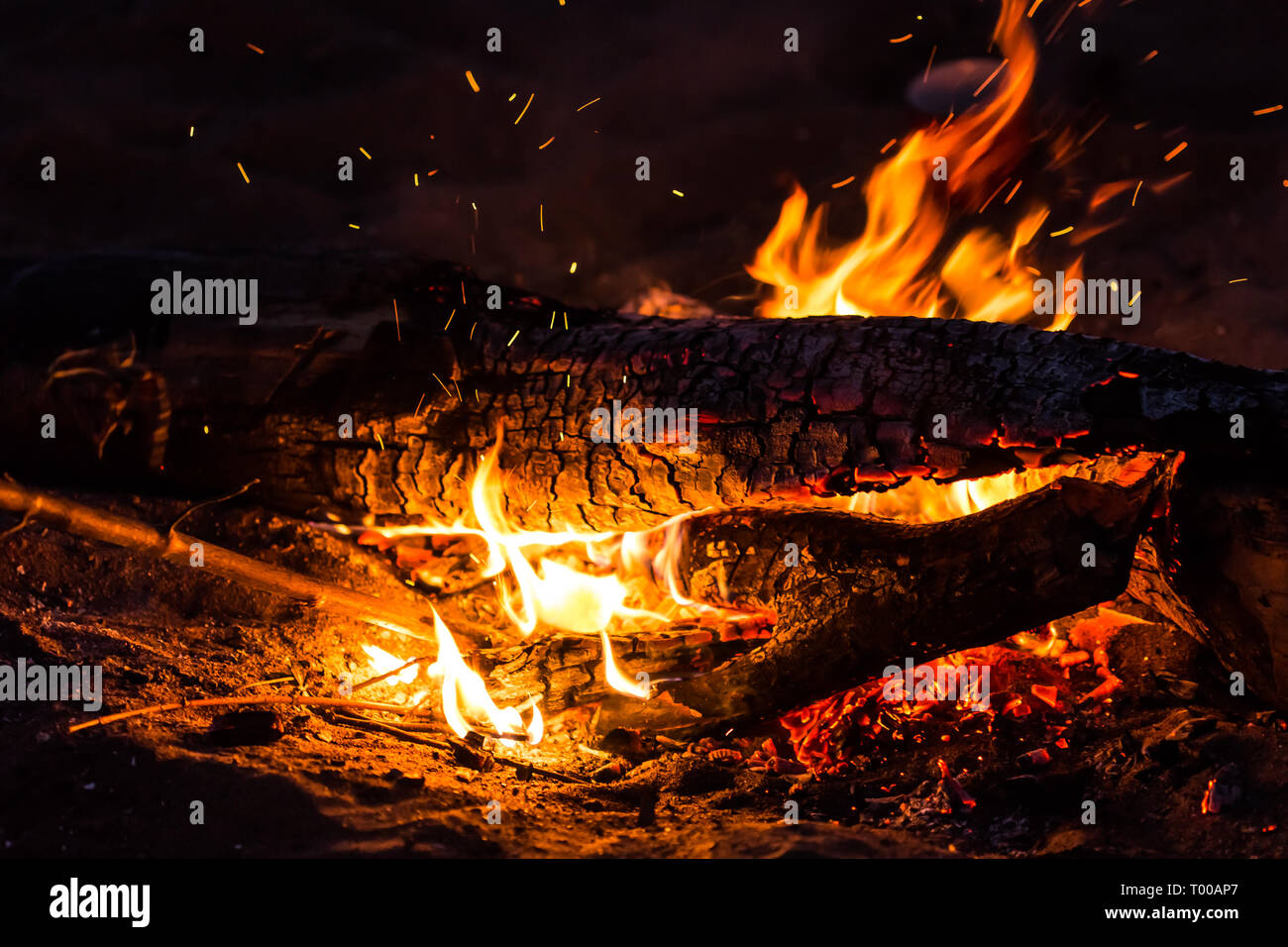 Night, tourism and nature concept - burning log and fire Stock Photo ...