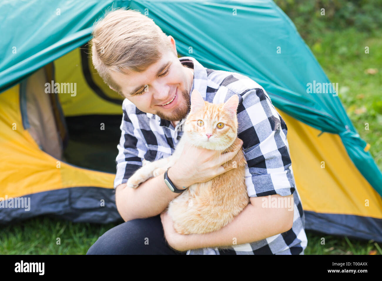 People, summer, tourism and nature concept - Man holding cat Stock ...