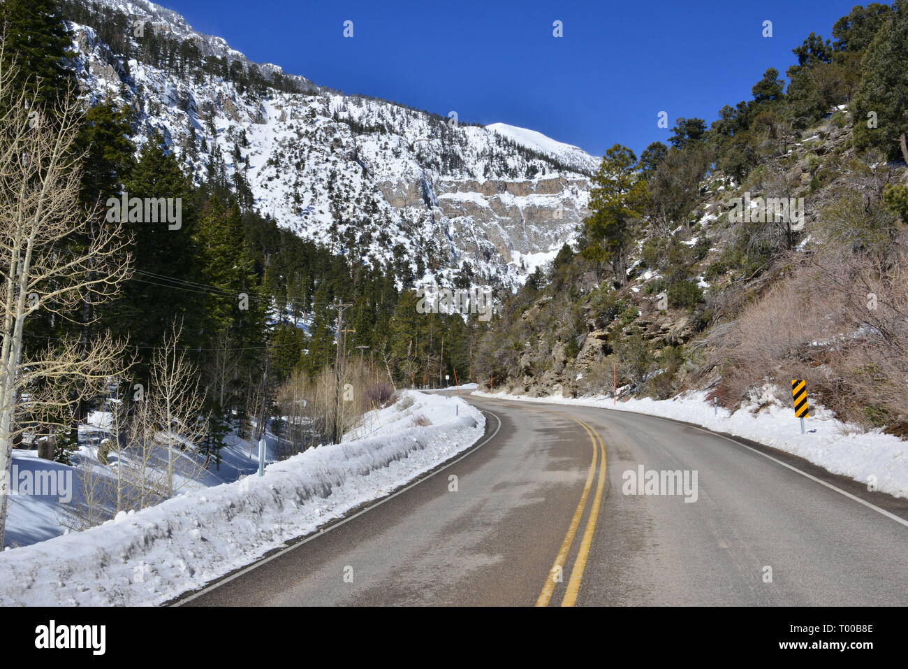 Mount charleston winter nevada hi-res stock photography and images - Alamy