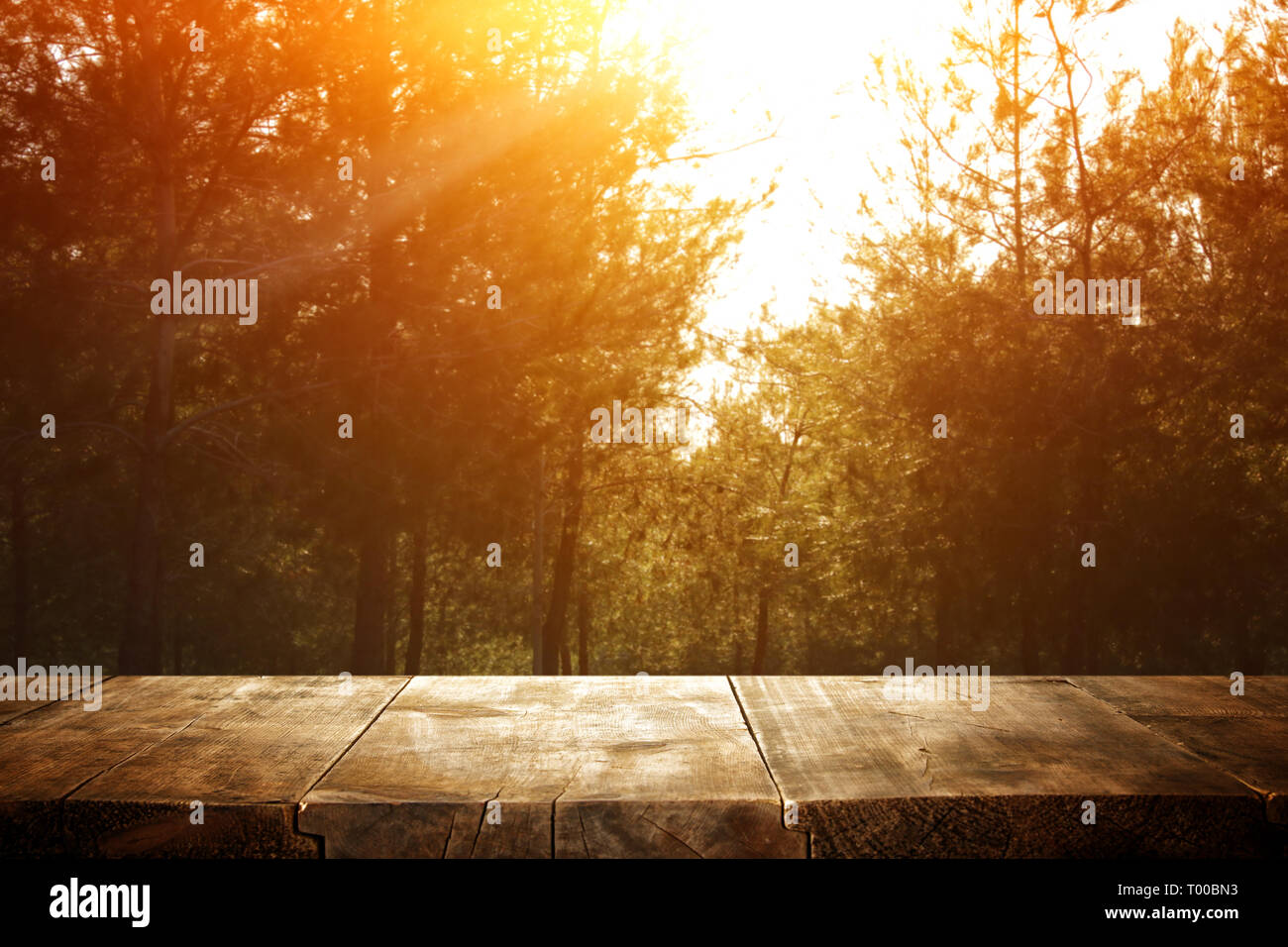 photo of front rustic wooden table and background forest Stock Photo ...