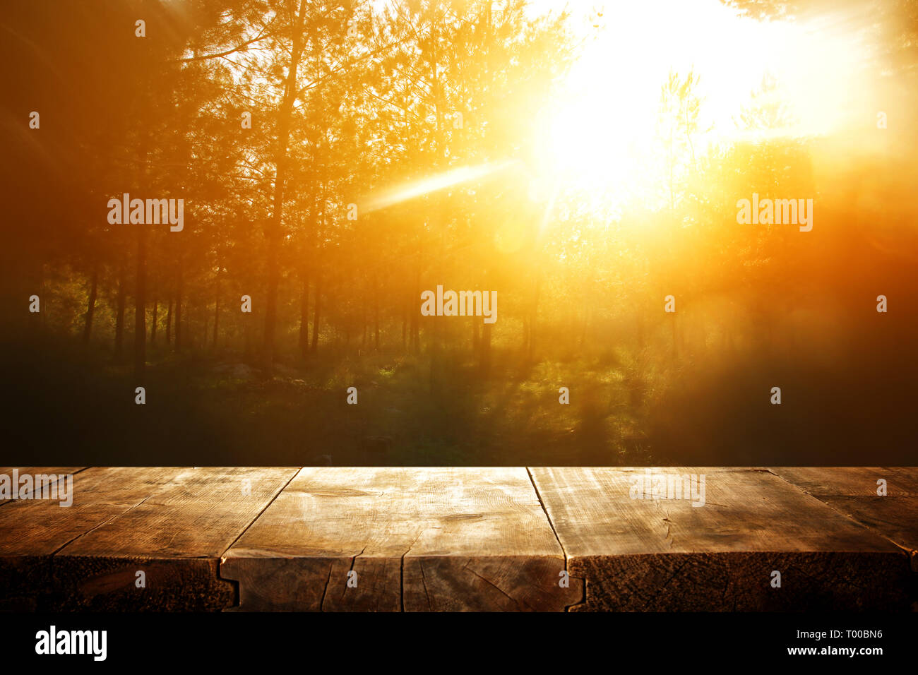 photo of front rustic wooden table and background forest Stock Photo ...