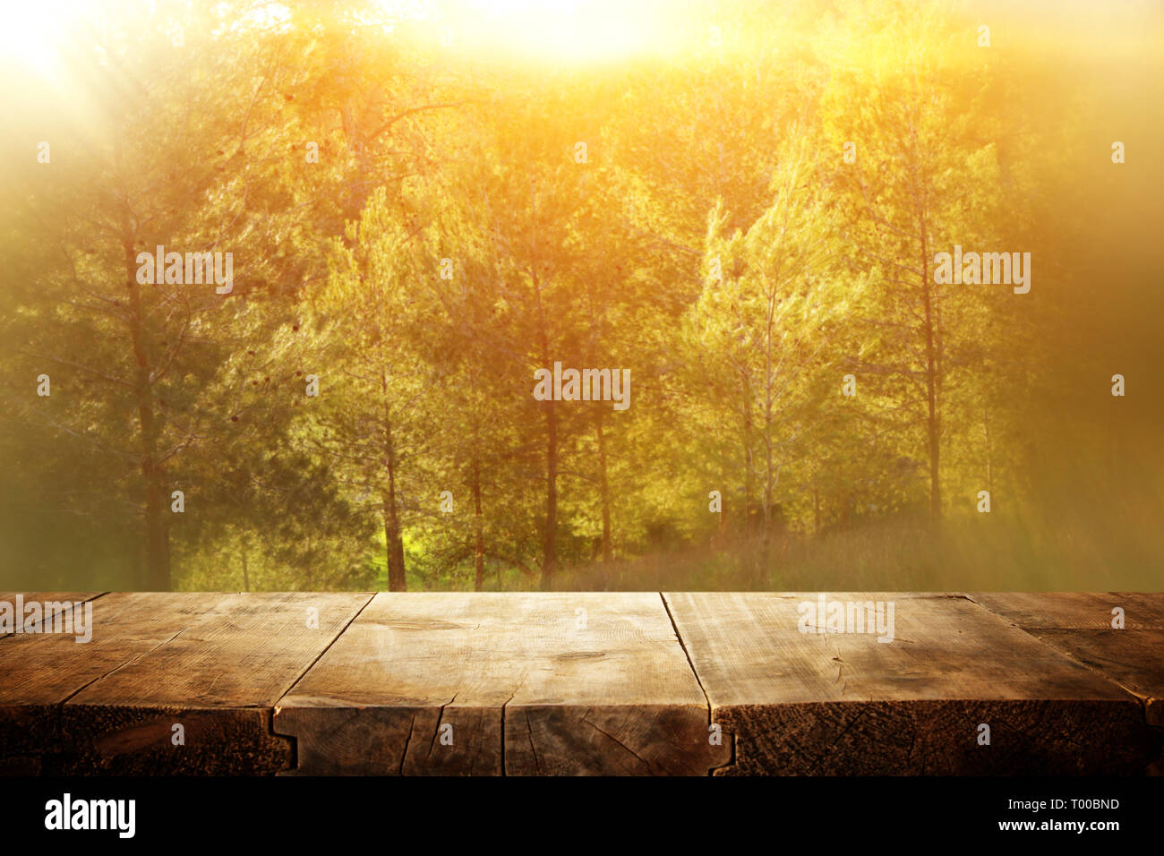 photo of front rustic wooden table and background forest Stock Photo ...