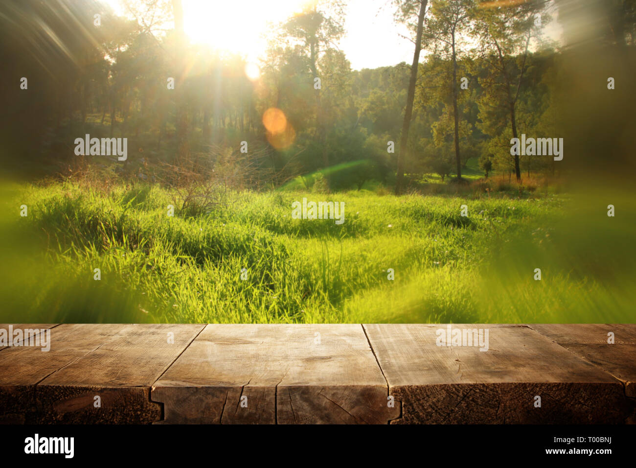 photo of front rustic wooden table and background forest Stock Photo ...