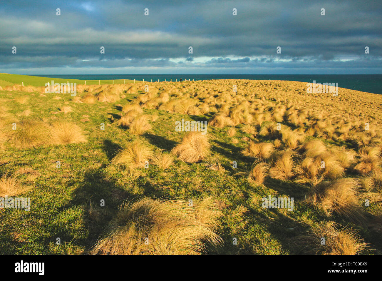 Slope point hi-res stock photography and images - Alamy