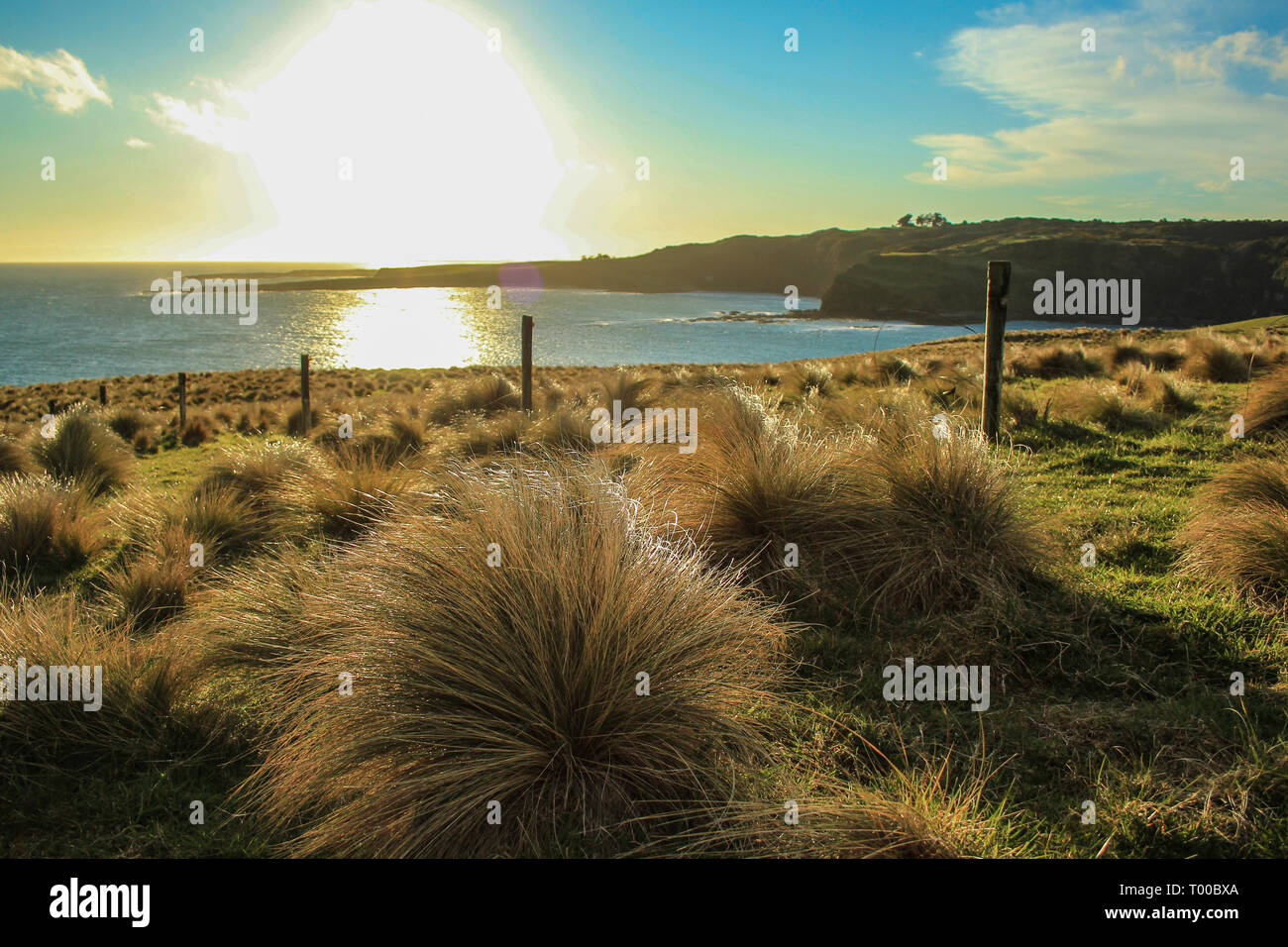 Slope Point during sunset, The Catlins, South Island, New Zealand Stock ...
