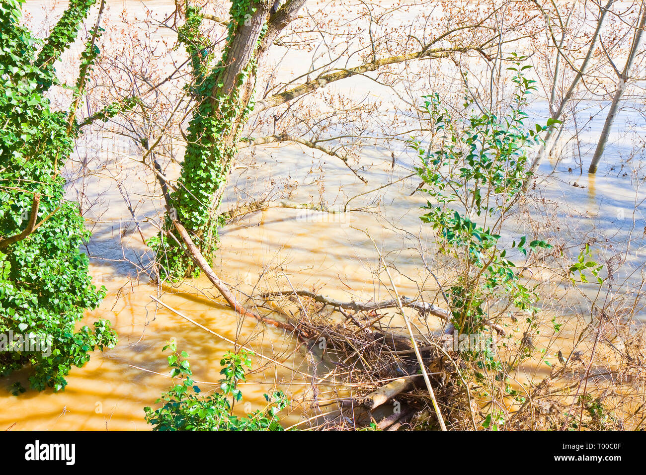 Flooding after torrential rain - concept image Stock Photo - Alamy