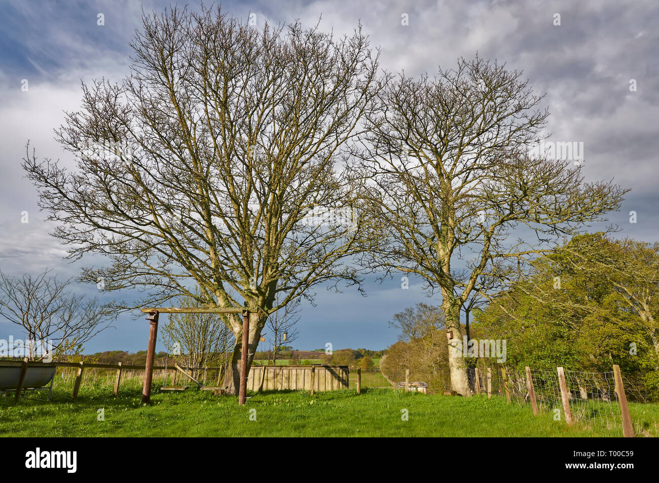 A small Cottage Garden offshoot with a Wooden swing overlooked by ...