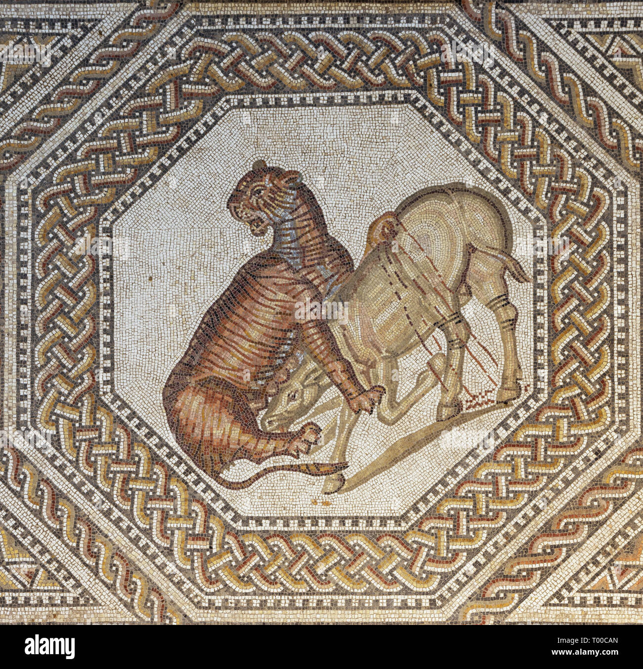 Roman gladiator fight mosaic hi-res stock photography and images - Alamy