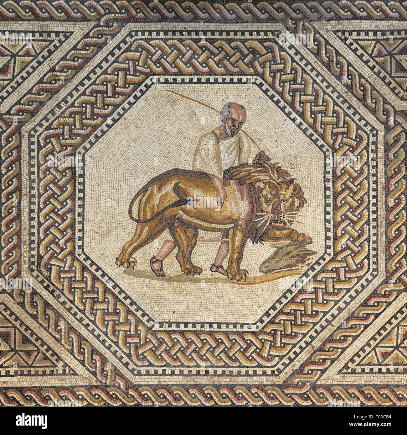 Roman mosaic lion gladiator hi-res stock photography and images - Alamy