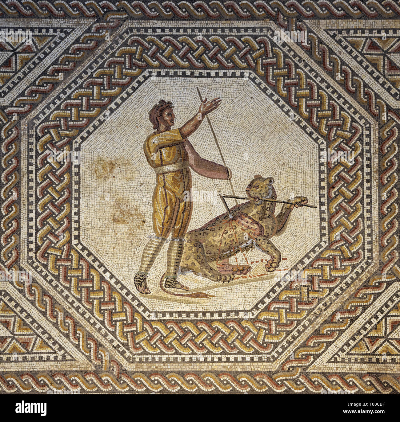 Editorial: NENNIG, SAARLAND, GERMANY, September 2, 2018 - A leopard ...