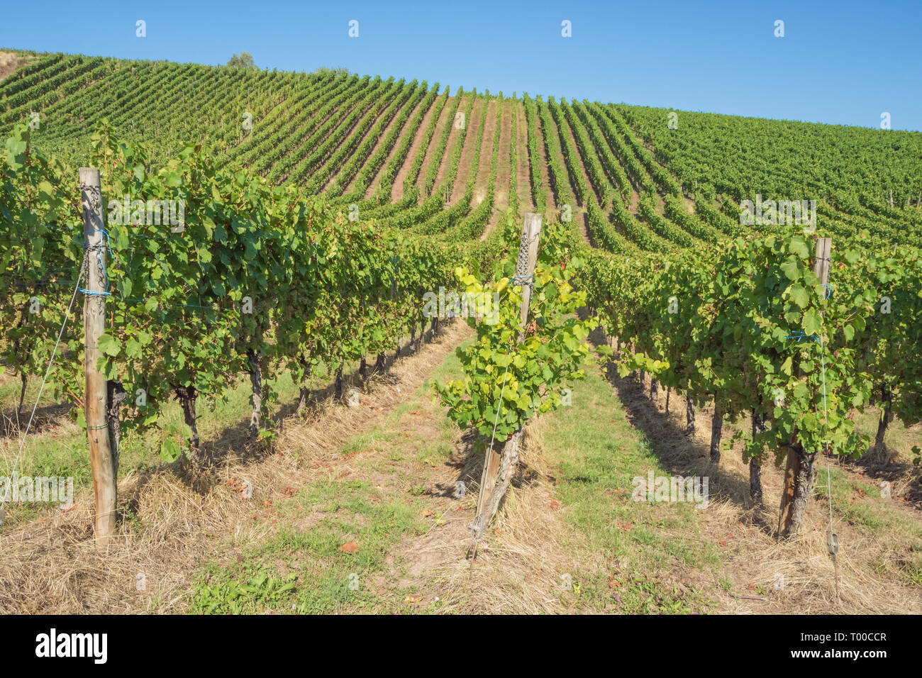 Remich hi-res stock photography and images - Alamy
