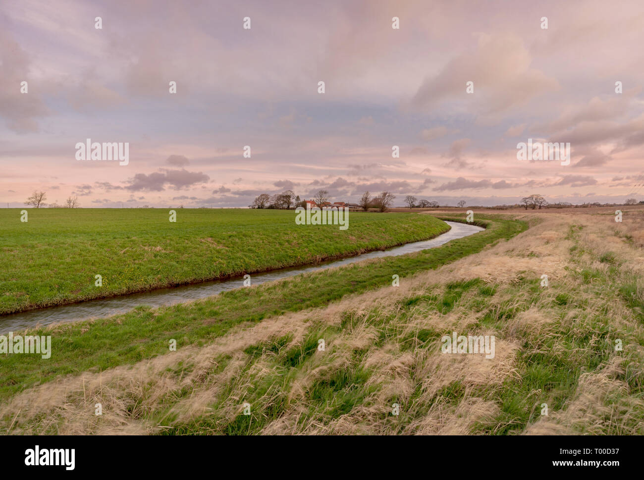 Towthorpe hi-res stock photography and images - Alamy