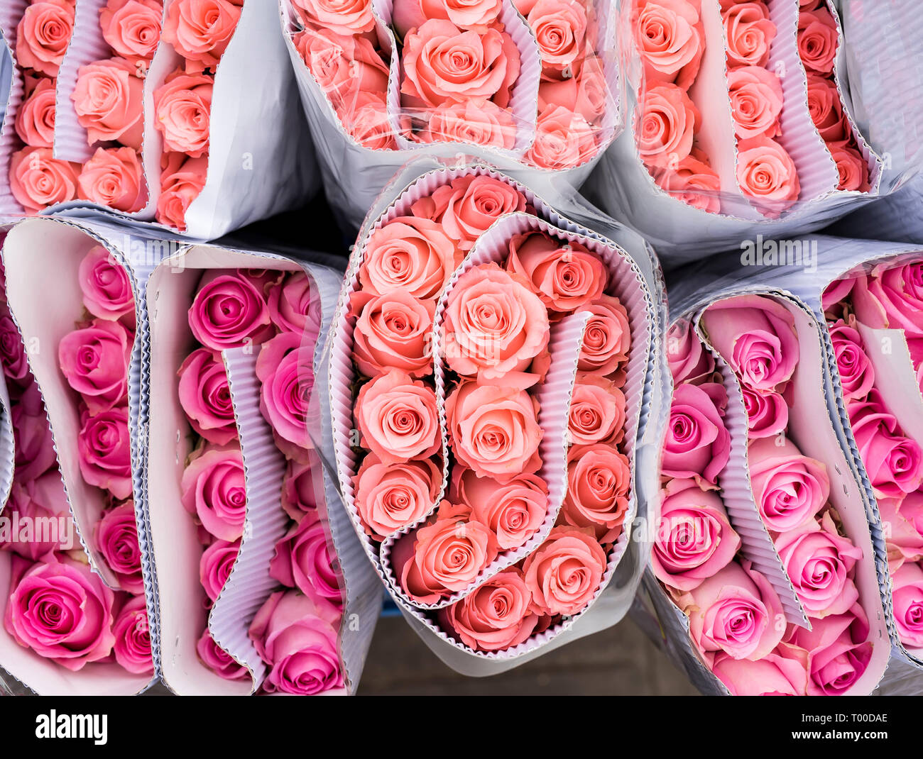 bouquets roses for sale at market with wrapping paper Stock Photo - Alamy