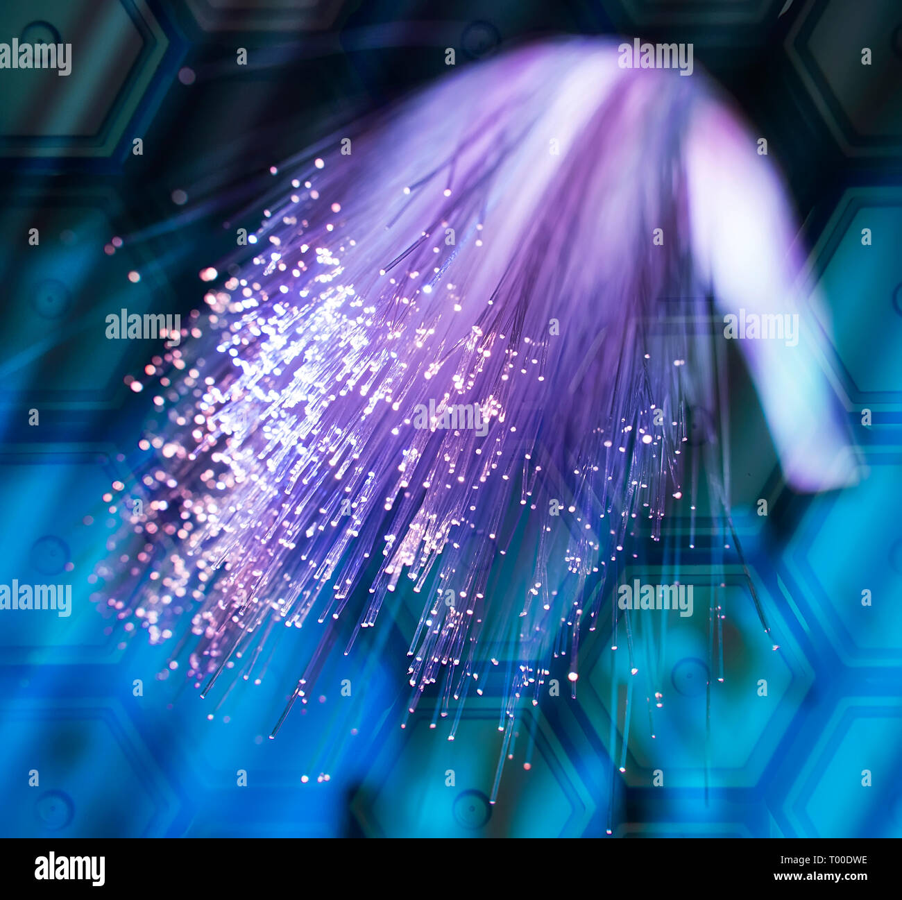 fiber optical network cable Stock Photo - Alamy