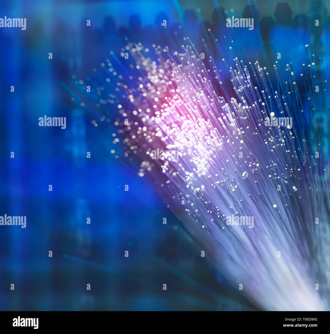 fiber optical network cable Stock Photo - Alamy