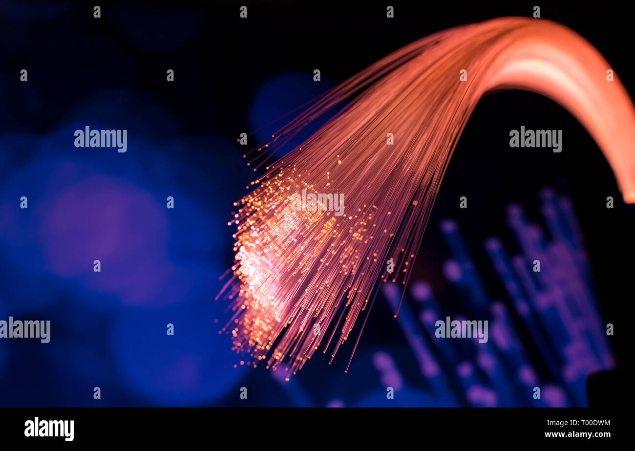 fiber optical network cable Stock Photo - Alamy