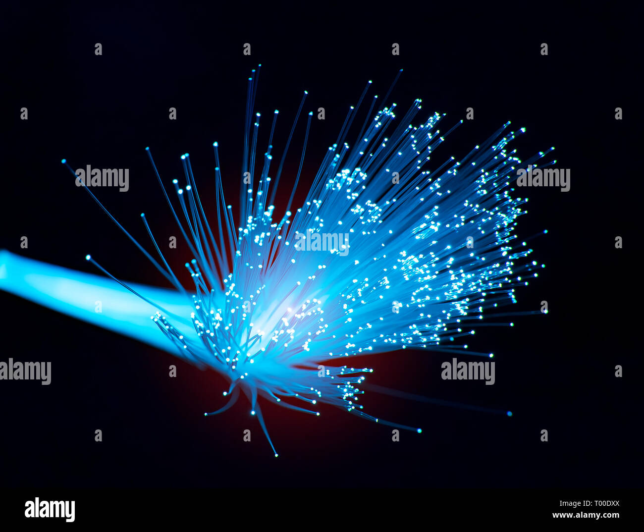 fiber optical network cable Stock Photo - Alamy
