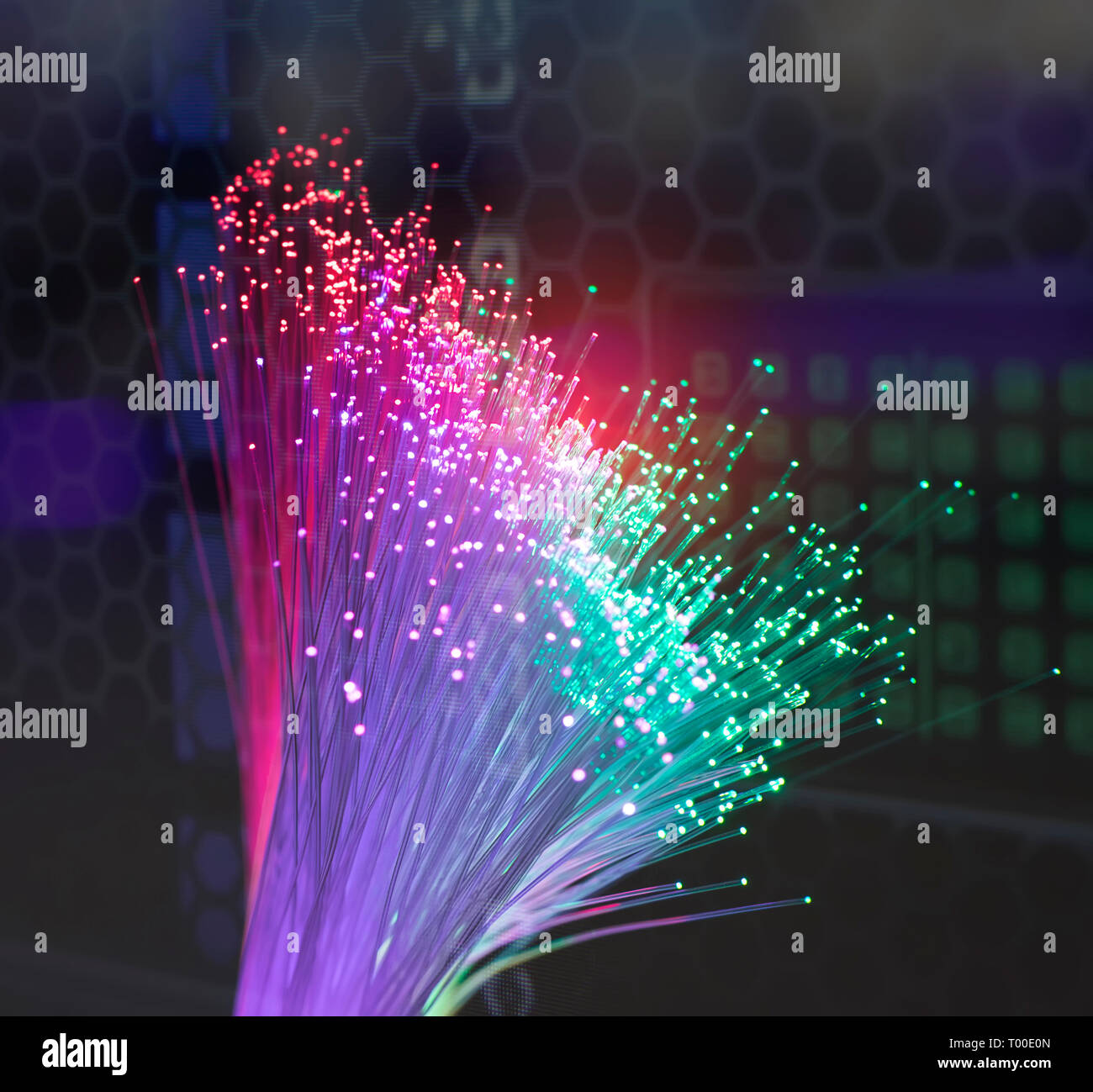 fiber optic showing data or internet communication concept Stock Photo ...