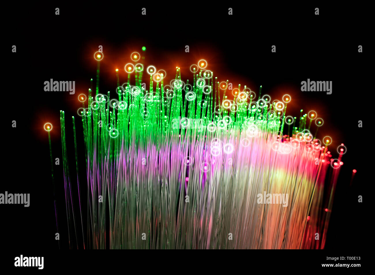 fiber optic showing data or internet communication concept Stock Photo ...
