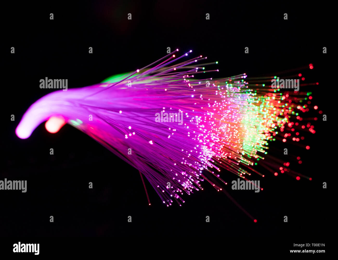 fiber optic showing data or internet communication concept Stock Photo ...