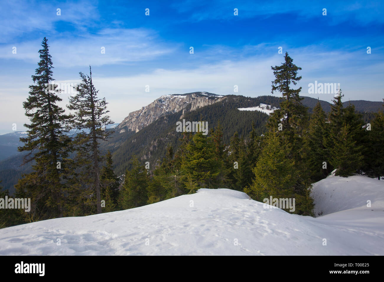 mountain rocks landscape in Hasmas, Romania Stock Photo - Alamy