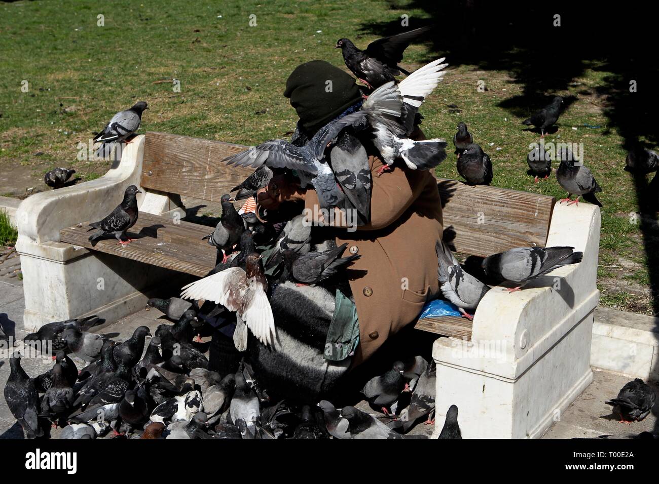 Woman homeless pigeons hi-res stock photography and images - Alamy