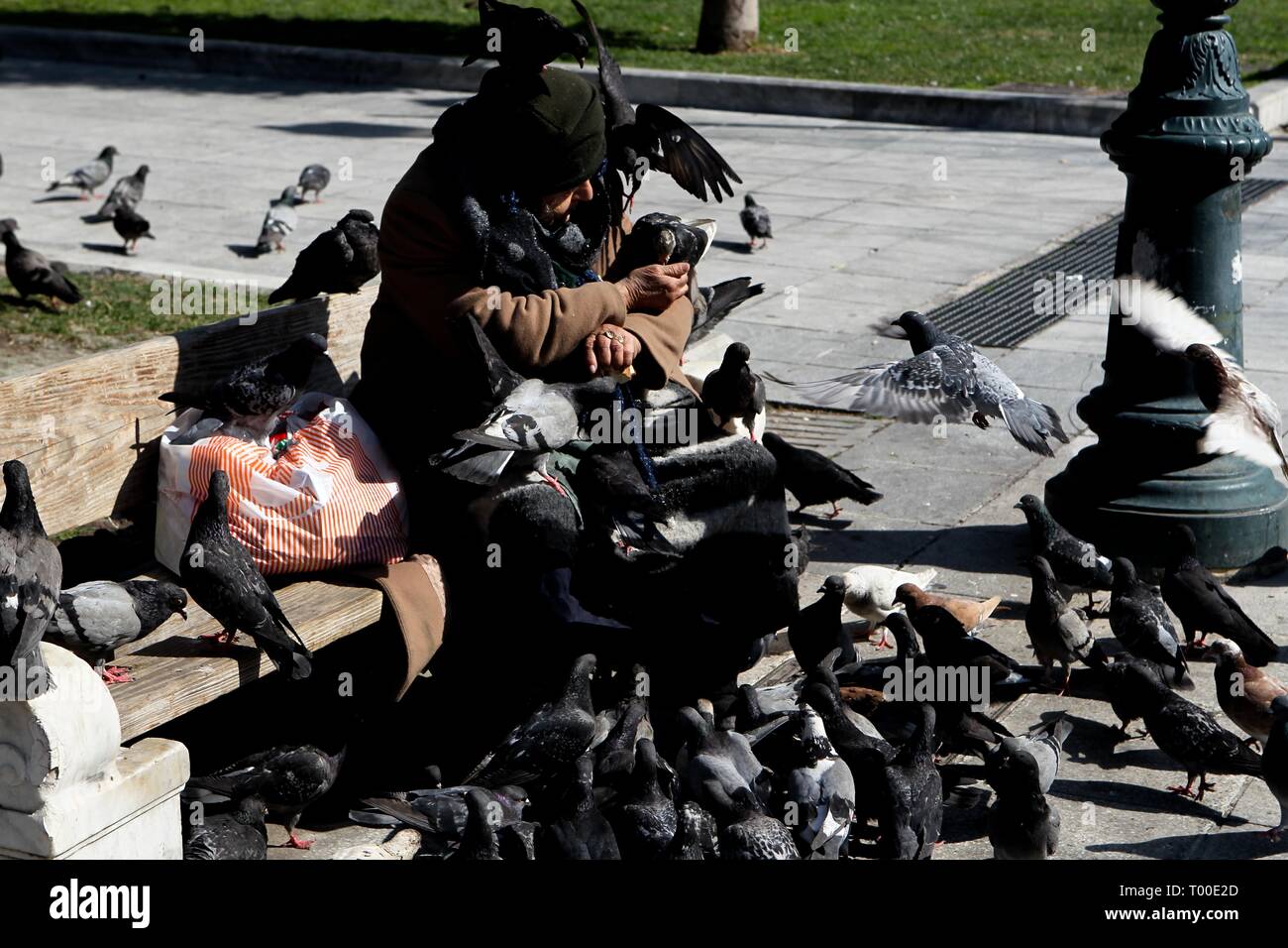 Woman homeless pigeons hi-res stock photography and images - Alamy