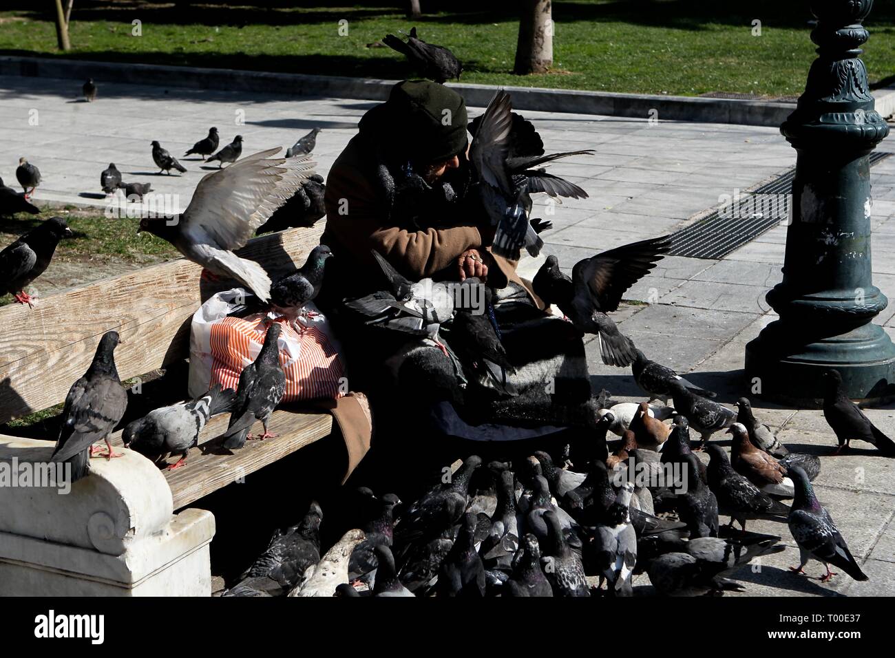 Woman homeless pigeons hi-res stock photography and images - Alamy