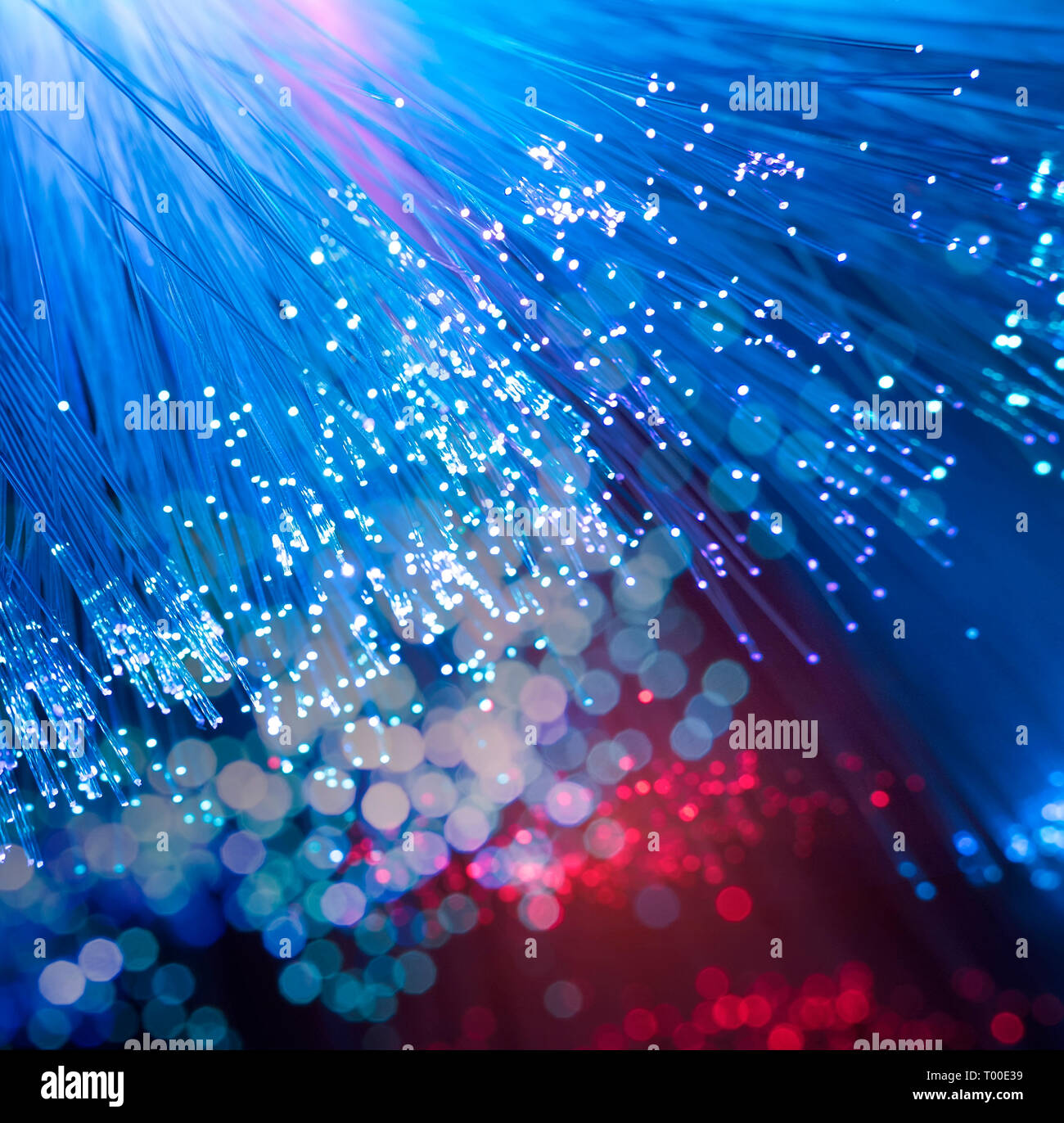 fiber optic showing data or internet communication concept Stock Photo ...