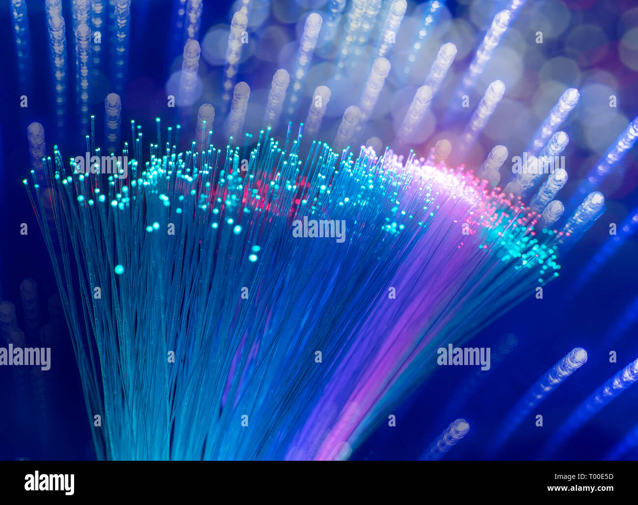 fiber optic showing data or internet communication concept Stock Photo ...