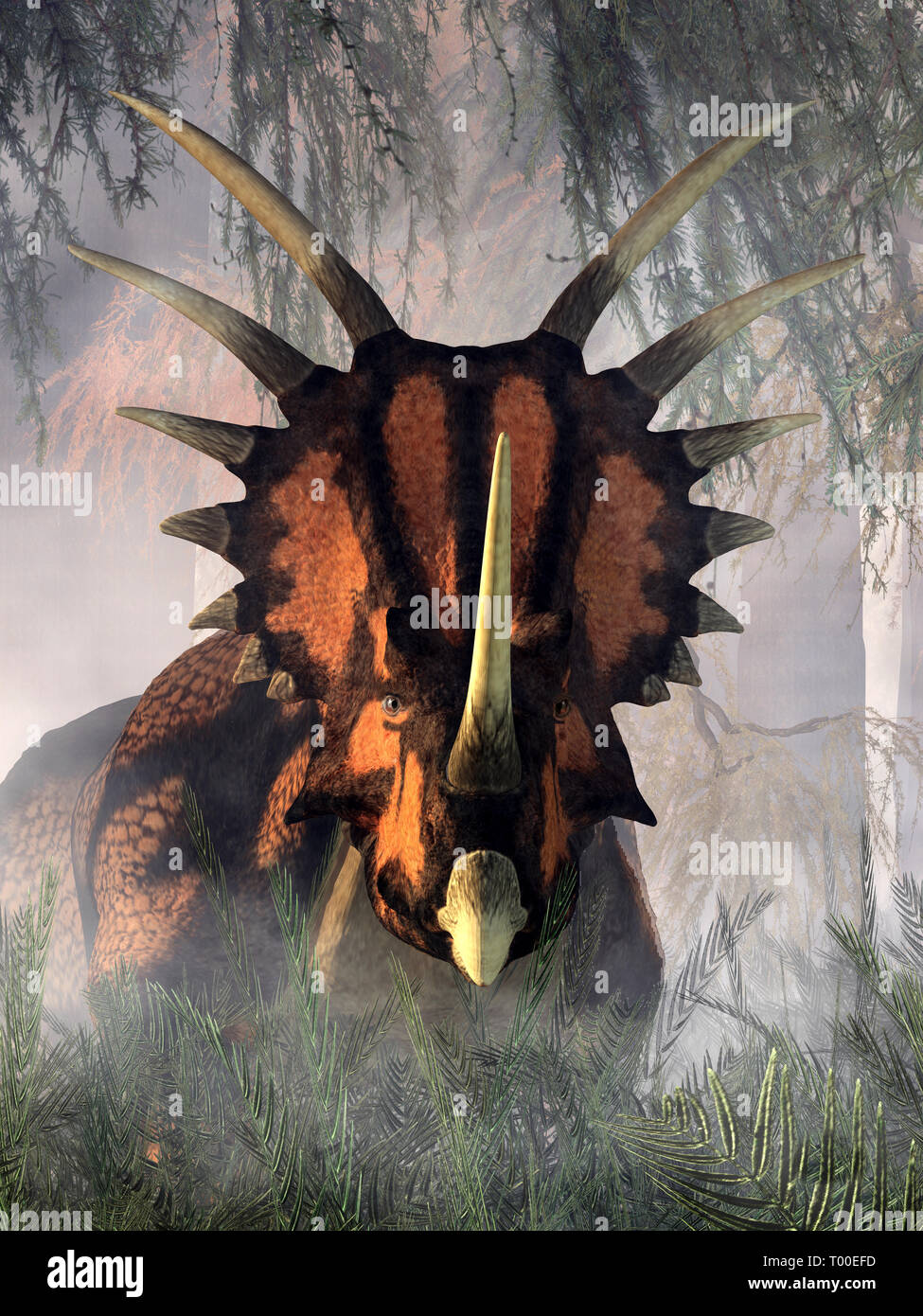 A styracosaurus moves among the dense undergrowth of a misty ...