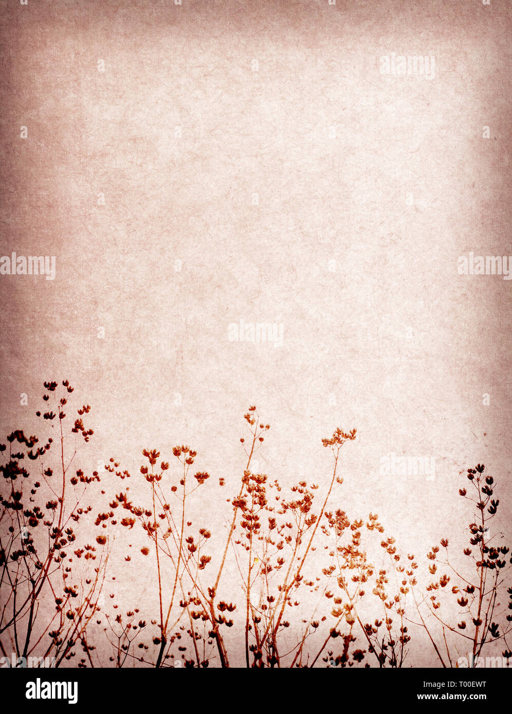 antique cracked paper texture Stock Photo - Alamy