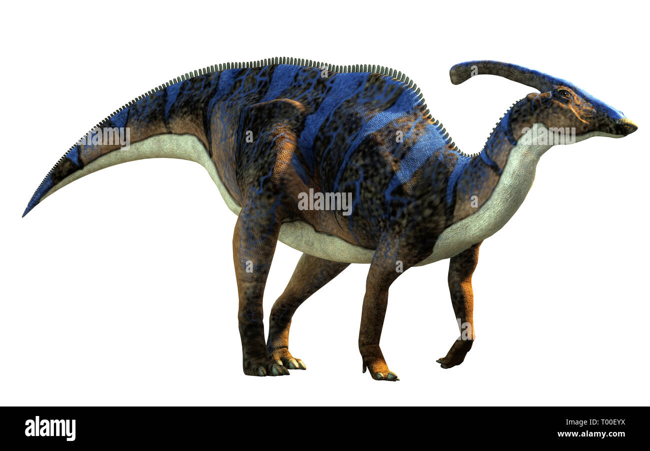 Hadrosaur