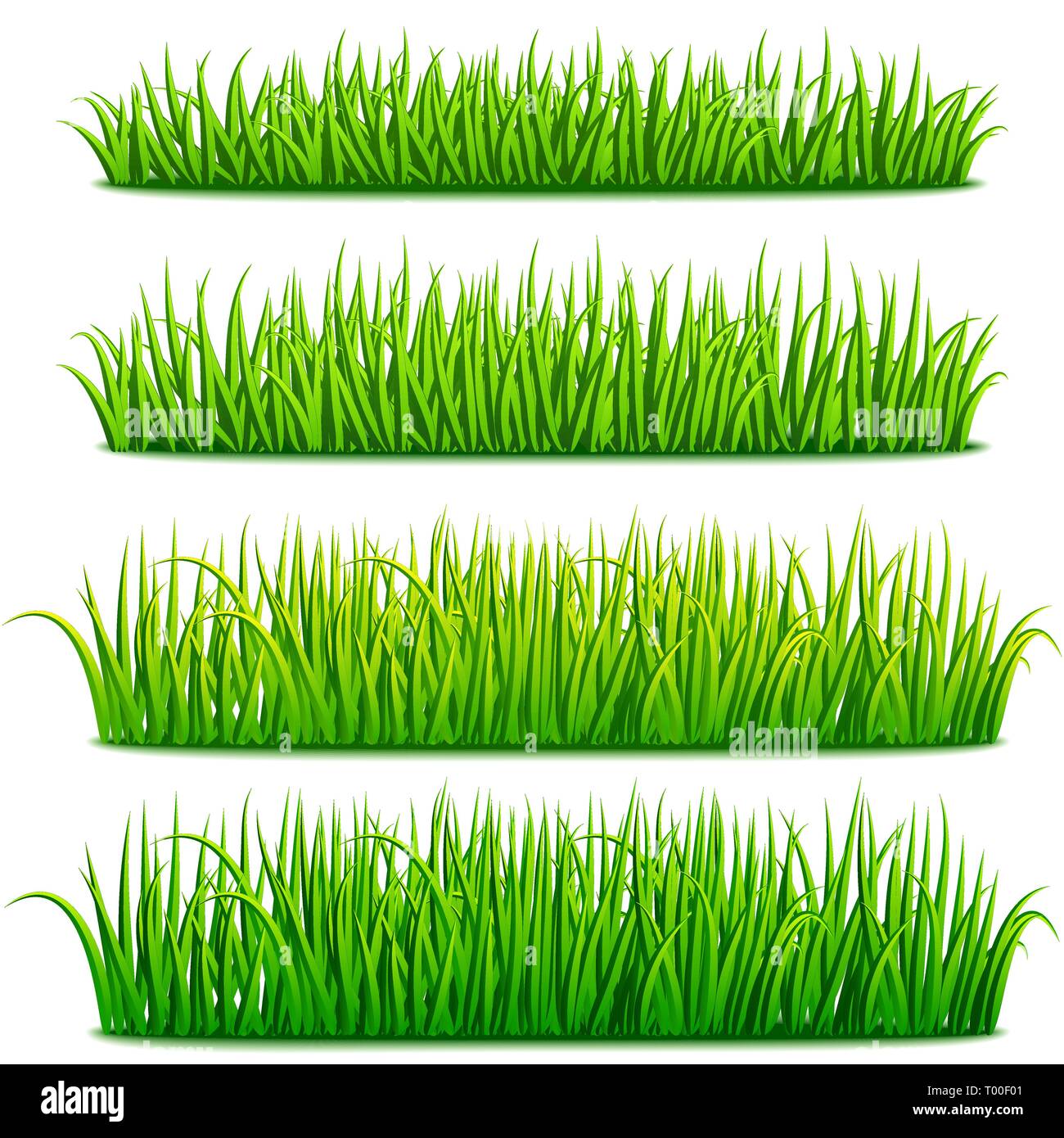 Fresh green grass borders set vector Stock Vector Image & Art - Alamy