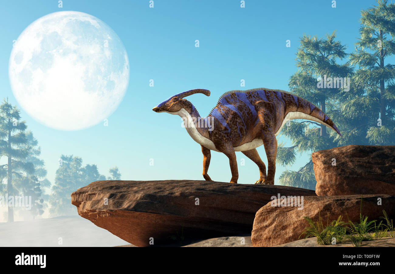 A parasaurolophus, a type of herbivorous ornithopod dinosaur of the hadrosaur family stands on a ...