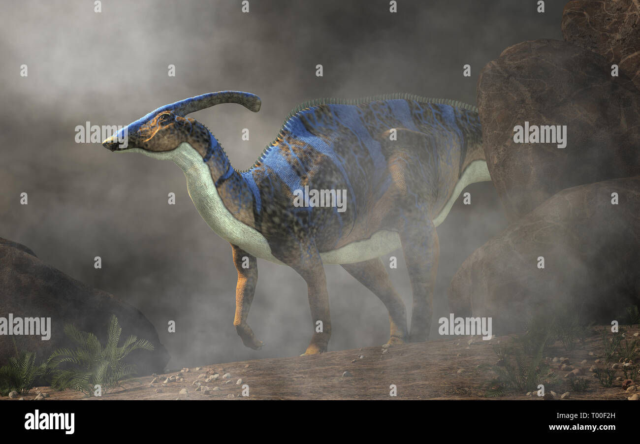 A parasaurolophus, a type of herbivorous ornithopod dinosaur of the ...