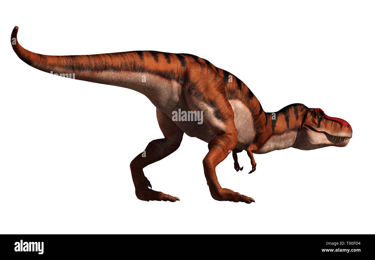 A tyrannosaurus rex looks ready to chase after his prey. This ...