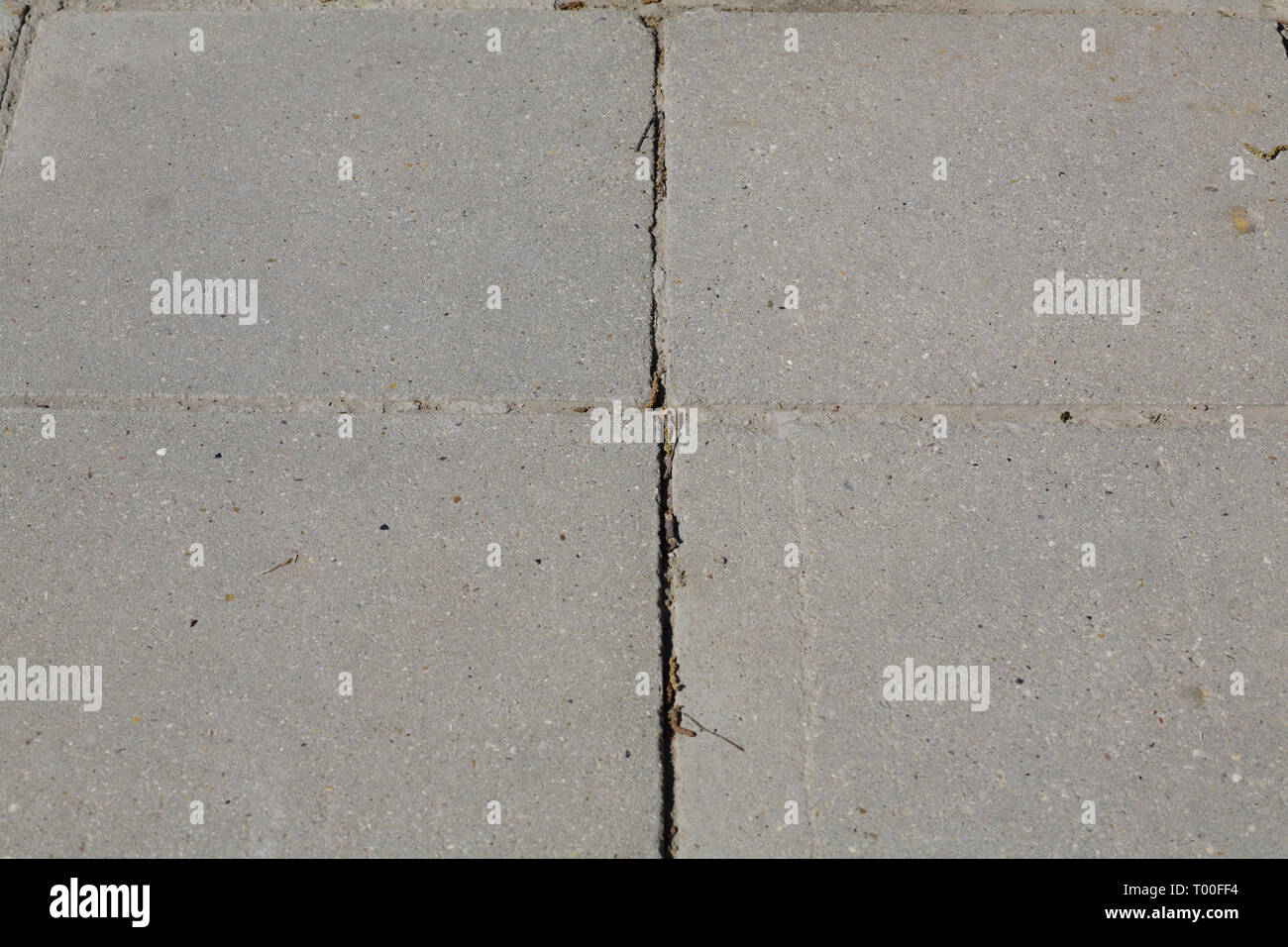 block road in park at spring Stock Photo - Alamy