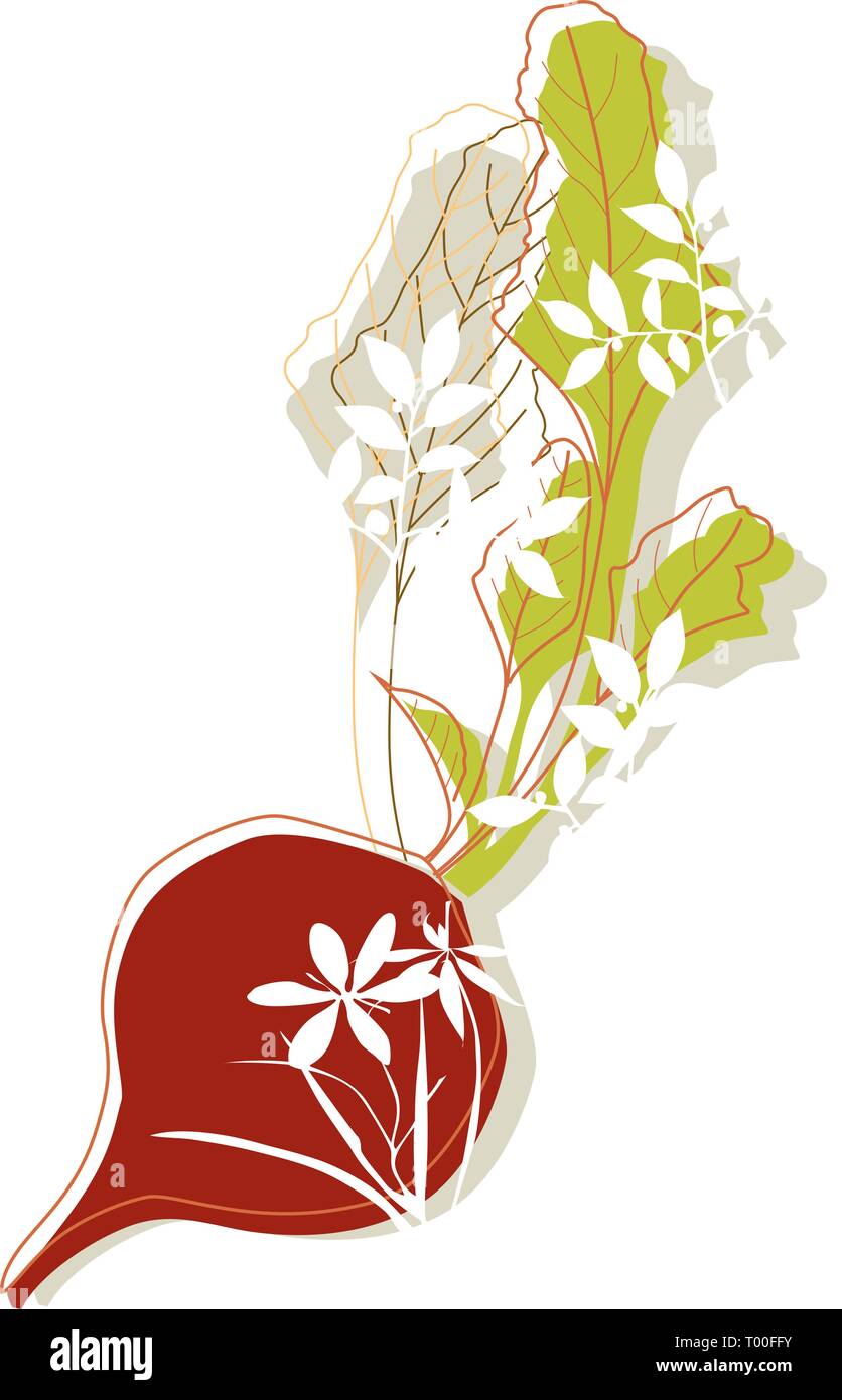 Beet Vector illustration Stock Vector Image & Art - Alamy