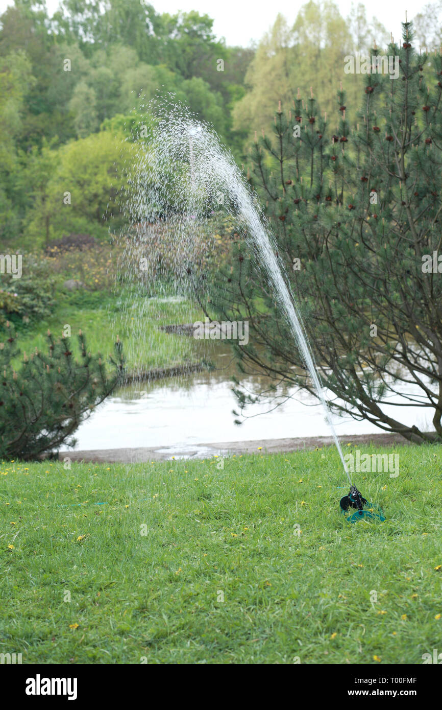 sprinkler in japan garden at spring Stock Photo - Alamy