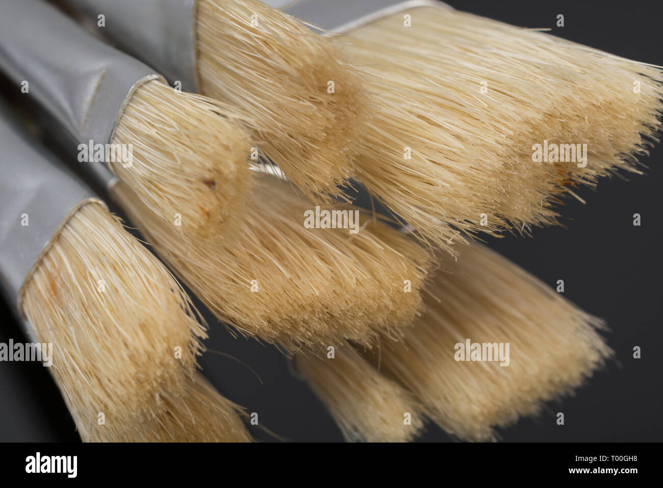 Macro close-up of bundle of clean natural bristle artist's paint ...