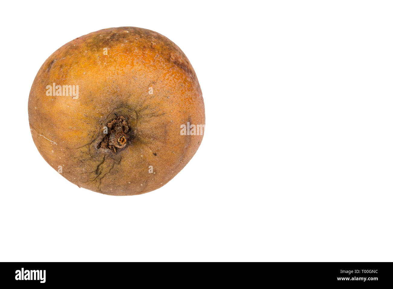 Withered old apple which has wrinkles on white background, Damaged ...