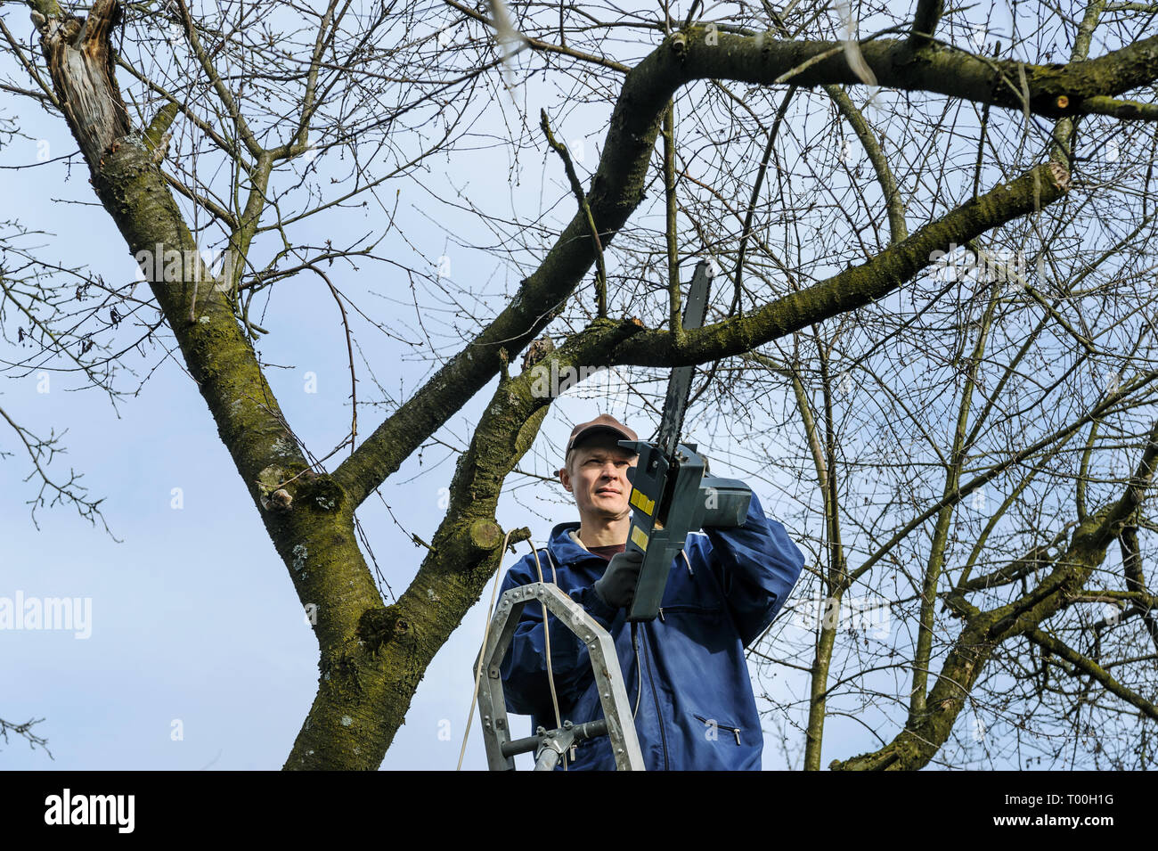 Work in the garden. Man cutting a branch of withered tree with electric ...