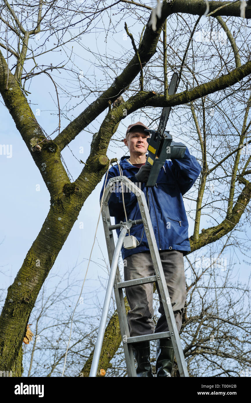 Work in the garden. Man cutting a branch of withered tree with electric ...