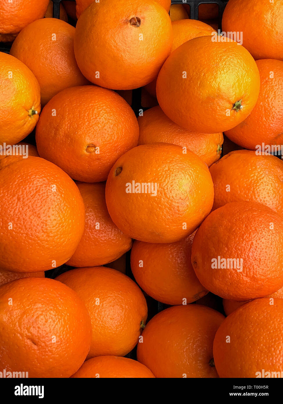 Tenby market hi-res stock photography and images - Alamy