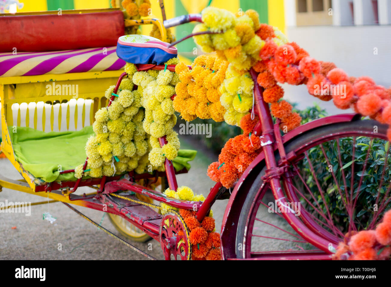cycle rickshaw covered with multicolored flowers for a wedding in india ...