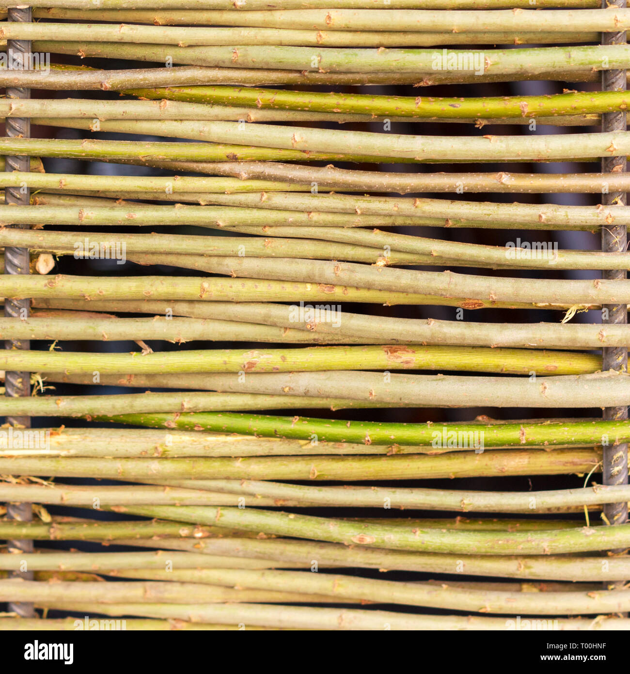 wall of willow twigs as background. Rural old fence, made from willow ...