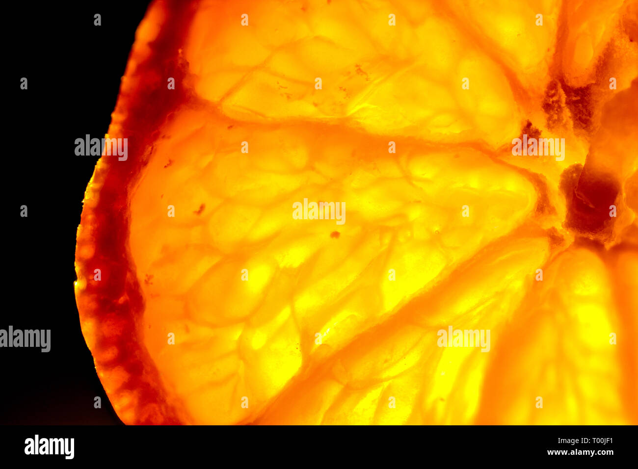 Fruit cell structure hi-res stock photography and images - Alamy